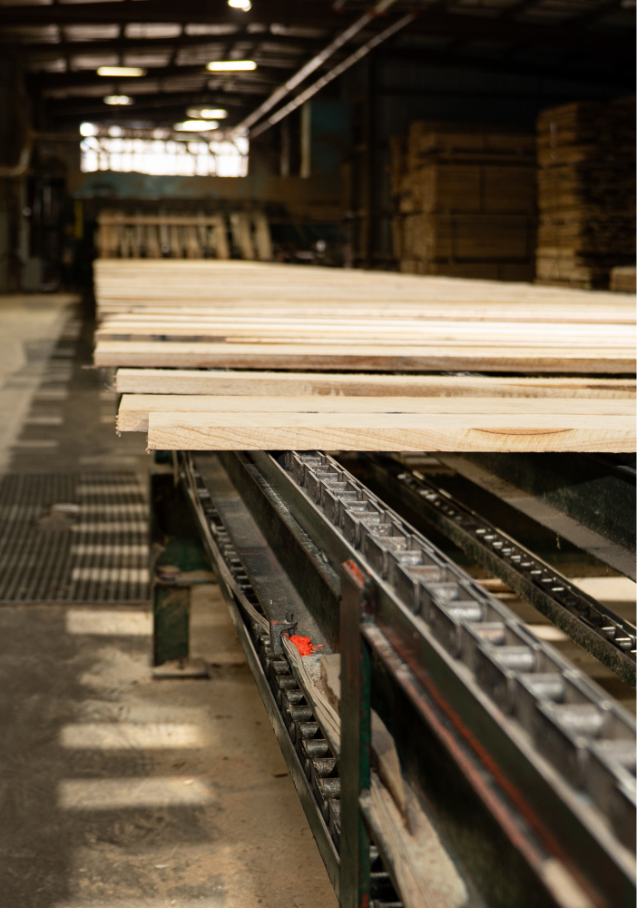 Green Hardwood Export | Bennett Hardwoods